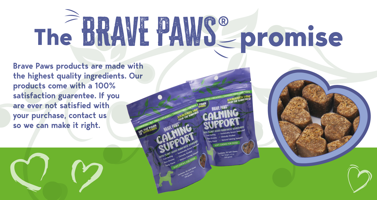Brave Paws Daily Anxiety & Stress Support For Dogs